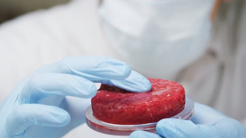 HERE COMES THE CULTURED MEAT